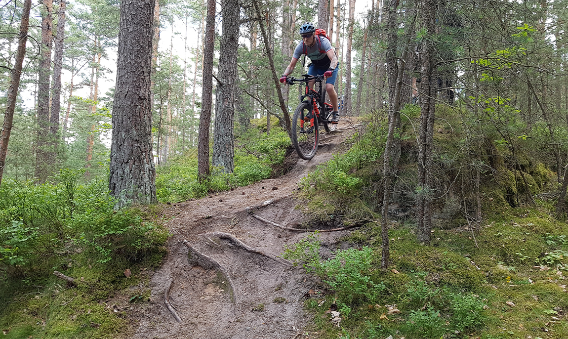 2,5 Std. Mountainbike Fortgeschrittenenkurs in Erlangen - Jetzt Anmelden